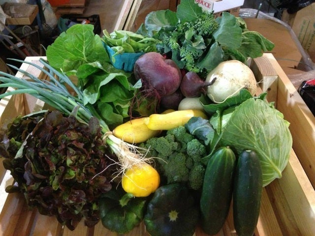 Buckeye Acres Fresh Produce | Buckeye Acres Produce